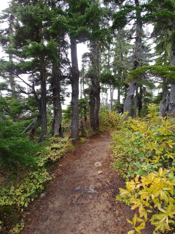 Park Maps & Access – Strathcona Wilderness Institute