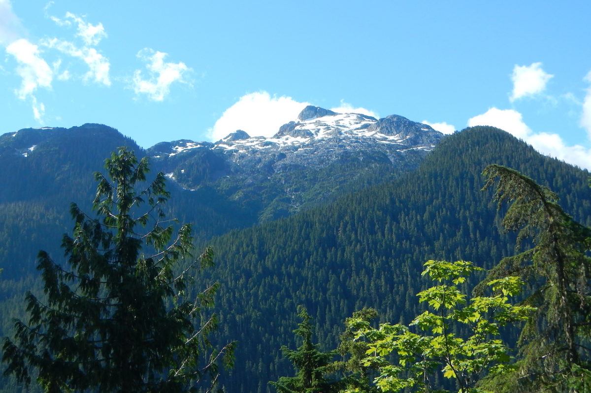Mt Myra from Arnica Trail – Strathcona Wilderness Institute